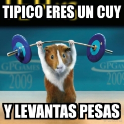 Meme Personalizado - Tipico eres un cuy y levantas pesas - 3100942