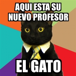 Meme Business Cat - aqui esta su nuevo profesor el gato - 3109050