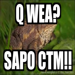 Meme Personalizado - Q wea? Sapo CTM!! - 3149684