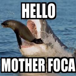 Meme Personalizado - Hello mother foca - 3175914
