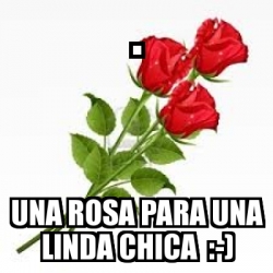Meme Personalizado - . una rosa para una linda chica :-) - 3217271