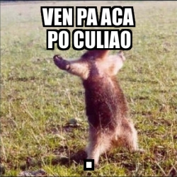 Meme Personalizado - VEN PA ACA PO CULIAO . - 3226576