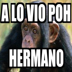 Meme Personalizado - A LO VIO POH HERMANO - 3260219