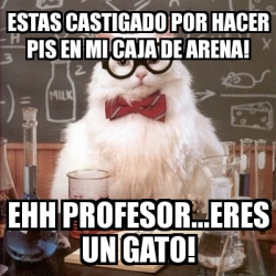 Meme Chemistry Cat - ESTAS CASTIGADO POR HACER PIS EN MI CAJA DE ARENA ...