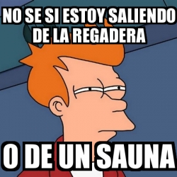 Meme Futurama Fry - no se si estoy saliendo de la regadera o de un ...