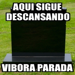 Meme Personalizado - Aqui sigue descansando vibora parada - 3339788