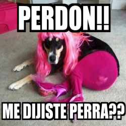 Meme Personalizado - PERDON!! ME DIJISTE PERRA?? - 3344870