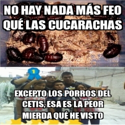 Meme Personalizado - No hay nada mÃ¡s feo quÃ© las cucarachas Excepto ...