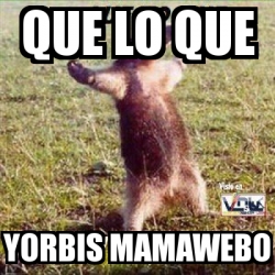 Meme Personalizado - que lo que yorbis mamawebo - 3367480