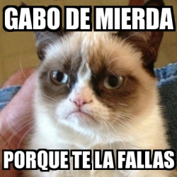 Meme Grumpy Cat - gabo de mierda porque te la fallas - 3412467