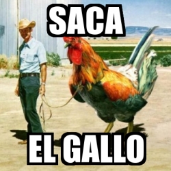 Meme Personalizado - Saca El gallo - 3421732