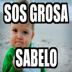 Meme Personalizado - Sos grosa sabelo - 3443220