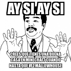 Meme Ay Si - ay si ay si crees que tienes una buena casa en minecraft ...