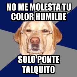 Meme Perro Racista - NO ME MOLESTA TU COLOR HUMILDE SOLO PONTE TALQUITO ...
