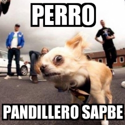 Meme Personalizado - perro pandillero sapbe - 3455096
