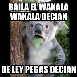 Meme Koala - Baila el wakala wakala decian de ley pegas decian - 3472035