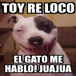 Meme Personalizado - toy re loco el gato me hablo! juajua - 3479553