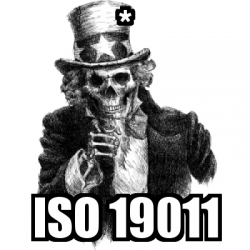 Meme Personalizado - * ISO 19011 - 3481998