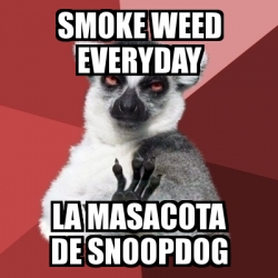 Meme Chill Out Lemur - smoke weed everyday la masacota de snoopdog ...