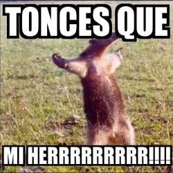 Meme Personalizado - tonces que mi herrrrrrrrr!!!! - 3519684