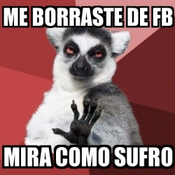 Meme Chill Out Lemur - Me borraste de fb mira como sufro - 3539215