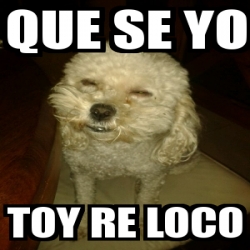 Meme Personalizado - que se yo toy re loco - 3555399