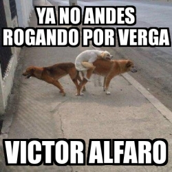 Meme Personalizado - ya no andes rogando por verga victor alfaro - 3577547