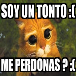 Meme Personalizado - soy un tonto :( me perdonas ? :( - 3066359