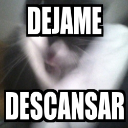 Meme Personalizado - dejame descansar - 3648547