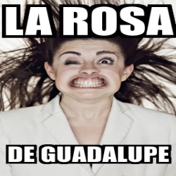 Meme Personalizado - la rosa de guadalupe - 3704523