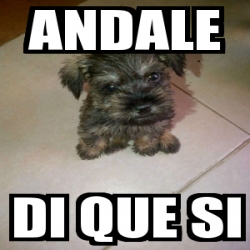Meme Personalizado - andale di que si - 3707730