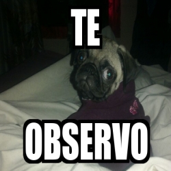 Meme Personalizado - TE OBSERVO - 3721095