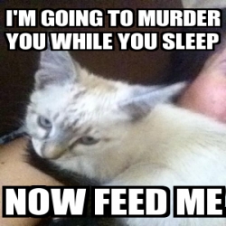 Meme Personalizado - i'm going to murder you while you sleep now feed ...