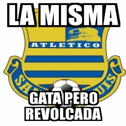 Meme Personalizado - la misma gata pero revolcada - 3813056