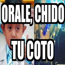 Meme Personalizado - Orale, chido tu coto - 3818760