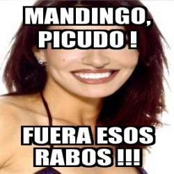 Meme Personalizado - MandiNgo, picudo ! Fuera esos rabos !!! - 3823997