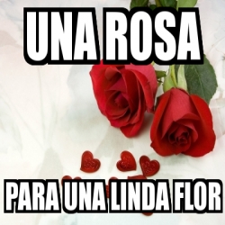 Meme Personalizado - una rosa para una linda flor - 3093021