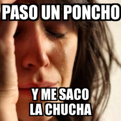 Meme Problems - paso un poncho y me saco la chucha - 3901475