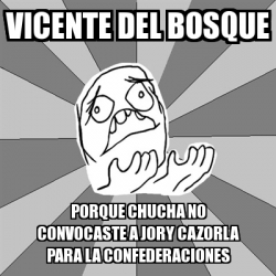 Meme Whyyy - vicente del bosque porque chucha no convocaste a jory ...