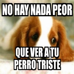 Meme Personalizado - No hay nada Peor Que ver A tu perro triste - 3994706