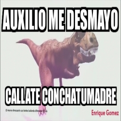 Meme Personalizado - Auxilio me desmayo Callate conchatumadre - 30000372