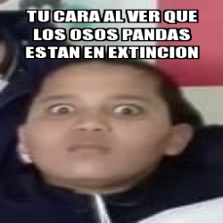 Meme Personalizado - tU CARA AL VER QUE LOS OSOS PANDAS ESTAN EN ...