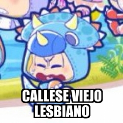 Meme Personalizado - callese viejo lesbiano - 30005266