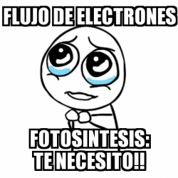 Meme Por favor - flujo de electrones fotosintesis: te necesito!! - 30012285