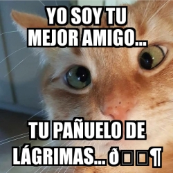 Meme Personalizado - Yo soy tu mejor amigo... tu paÃ±uelo de lÃ¡grimas ...
