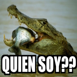 Meme Personalizado - Quien soy?? - 30135788
