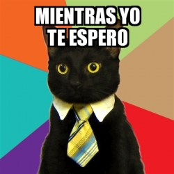 Meme Business Cat - mientras yo te espero - 30137719