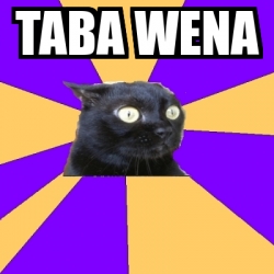 Meme Anxiety Cat - Taba wena - 30187688
