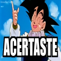 Meme Personalizado - ACERTASTE - 30200734