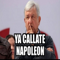Meme Personalizado - YA CALLATE NAPOLEON - 30203411